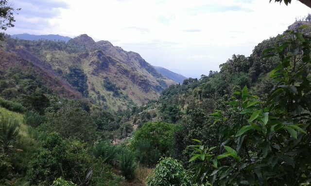 Lanka4me.com Ella River Front, Ella - Lanka4me.com