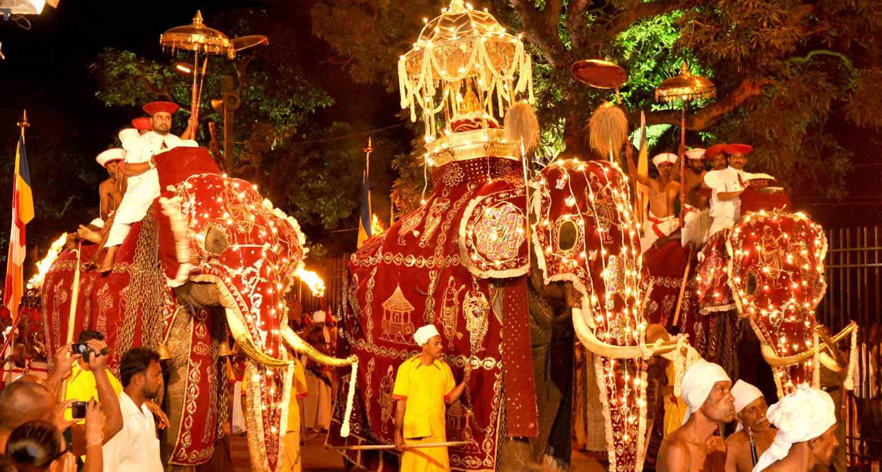 Lanka4me.com Shortage of Elephants For Perahera in Kandy