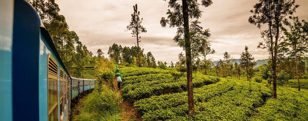 Lanka4me.com Hatton is ideal for Adam's Peak Sri Lanka the hill country ...