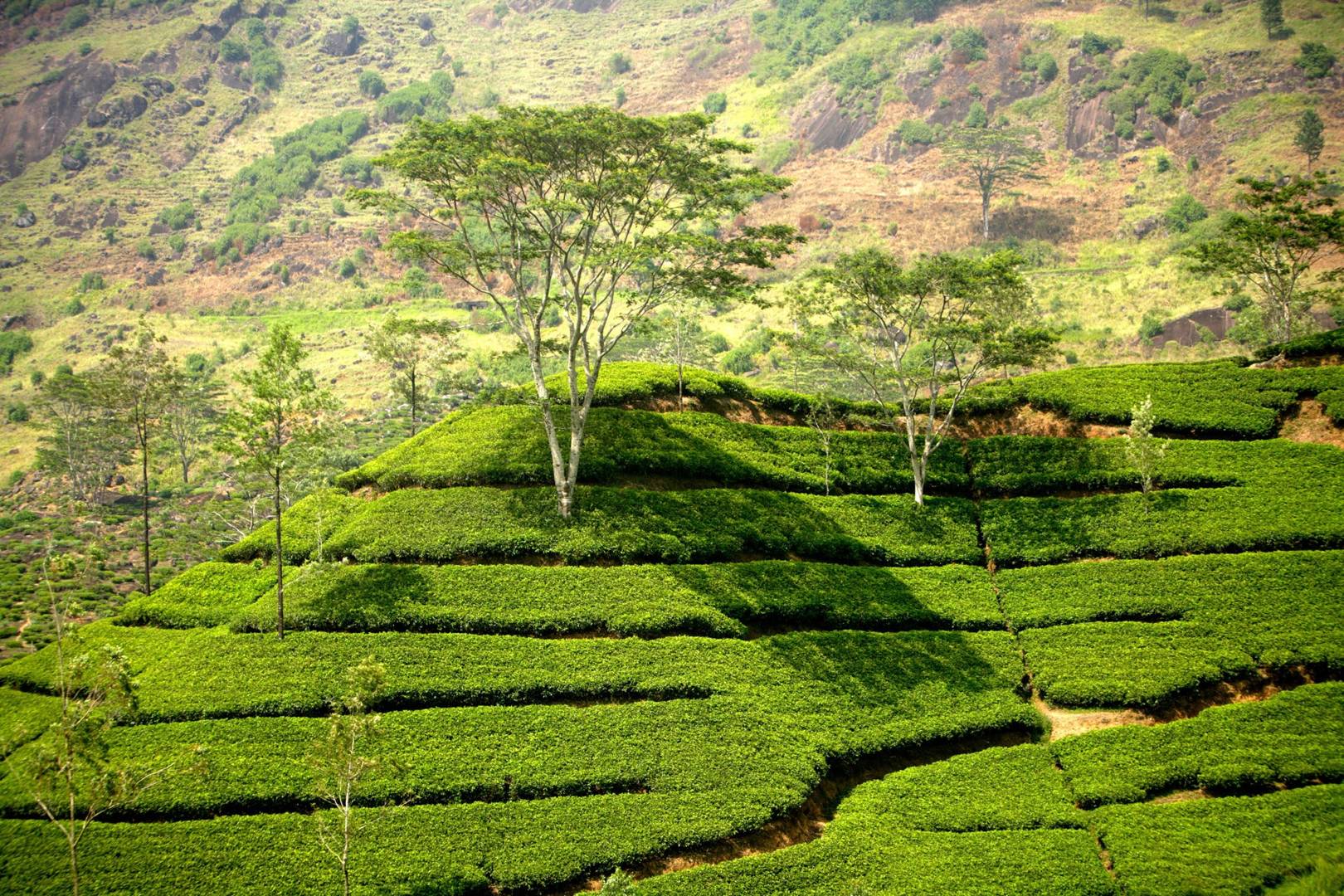 Lanka4me.com Hatton is ideal for Adam's Peak Sri Lanka the hill country ...